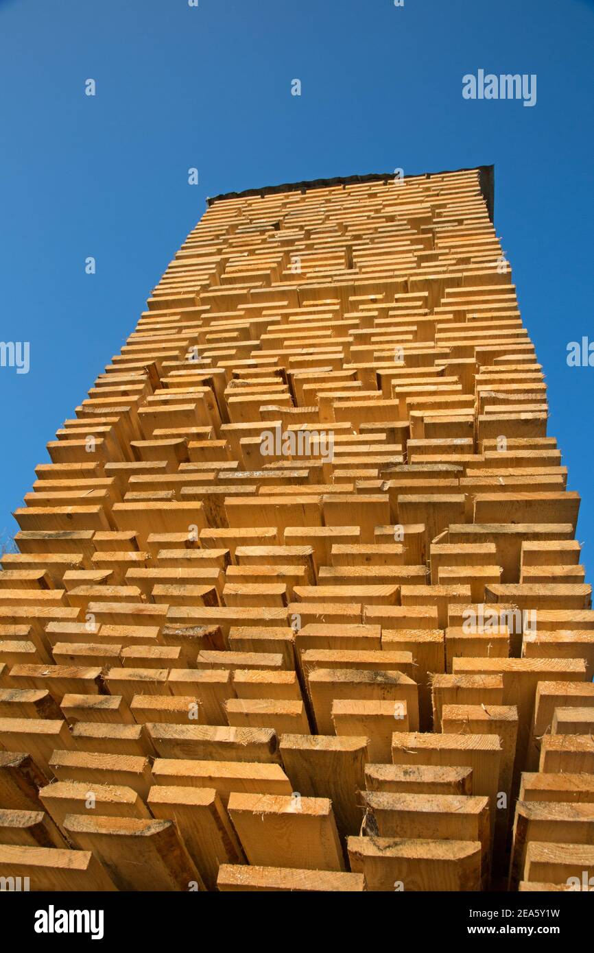 Stack of new wooden studs at the lumber yard Stock Photo - Alamy