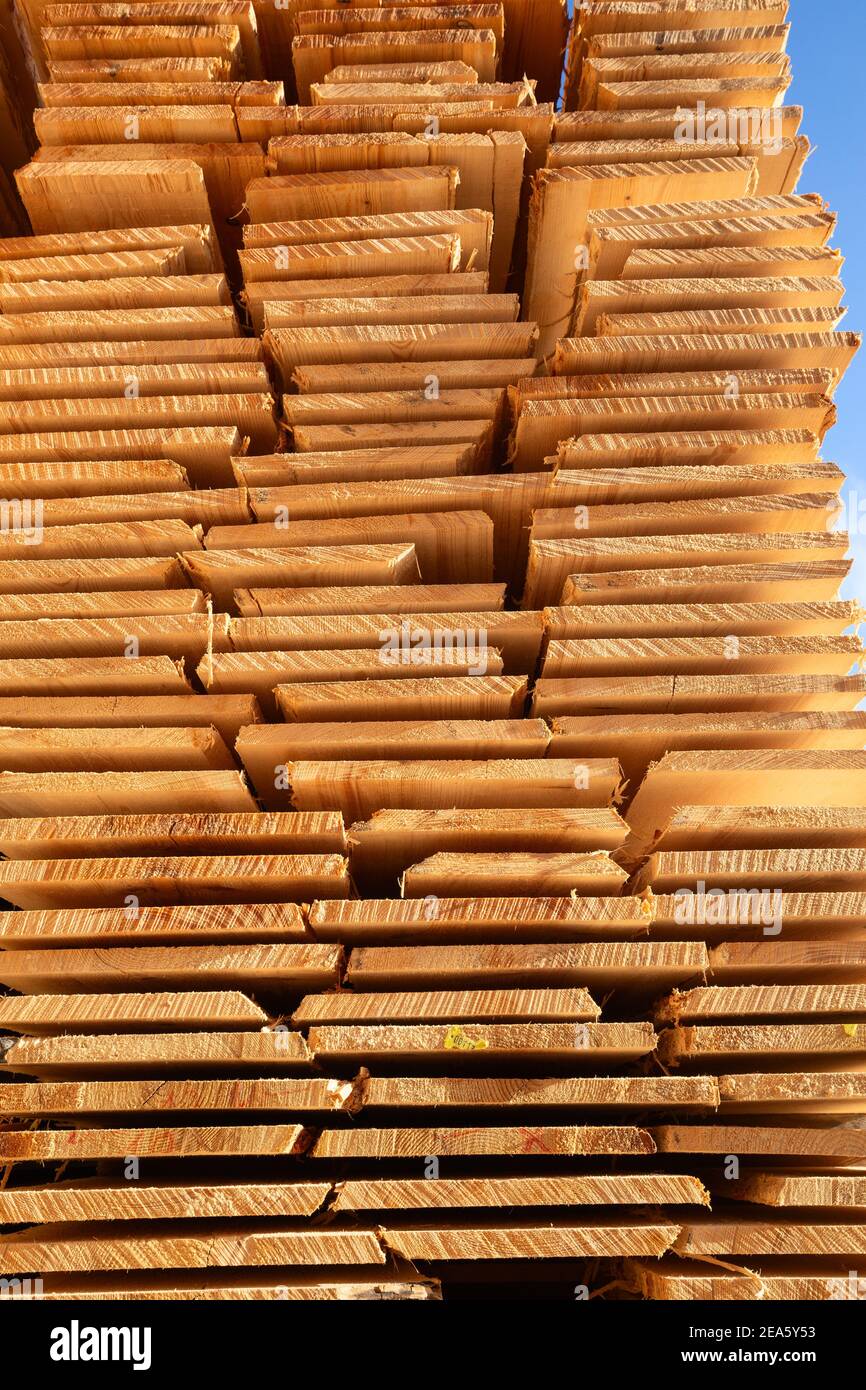 Stack of new wooden studs at the lumber yard Stock Photo - Alamy
