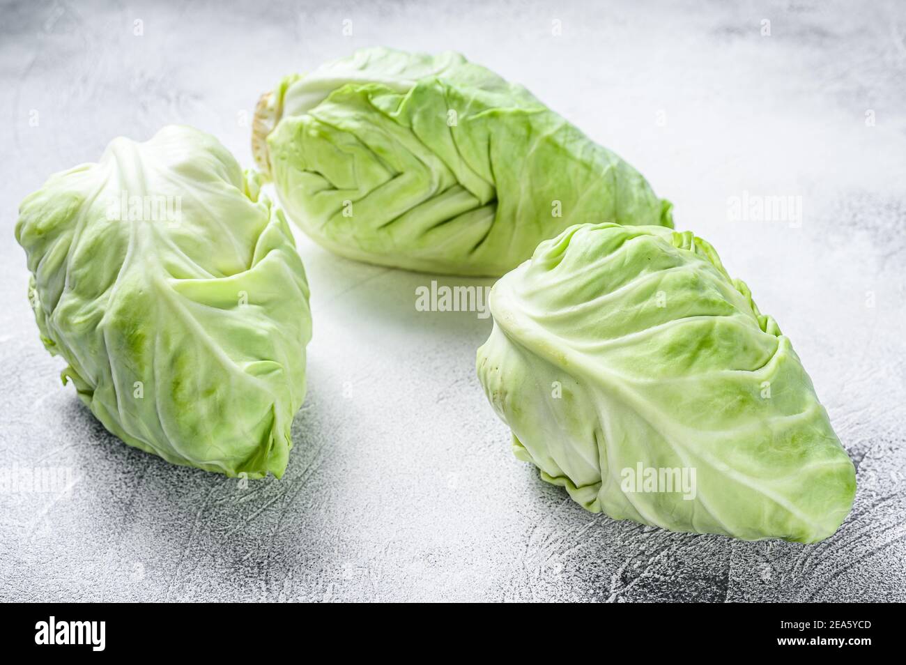 Raw Pointed white cabbage head. White background. Top view Stock Photo ...