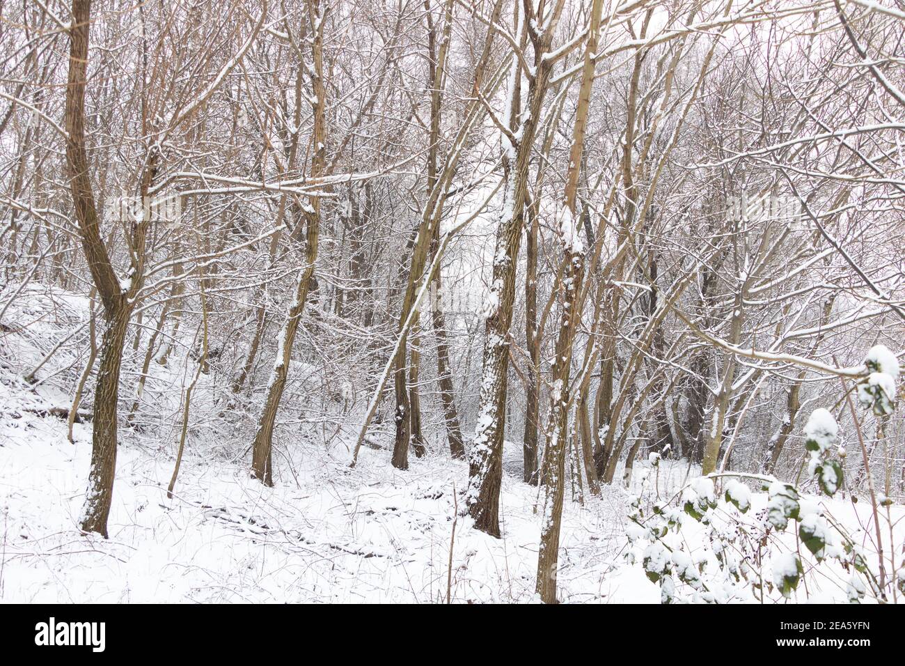 Scenary ice hi-res stock photography and images - Alamy