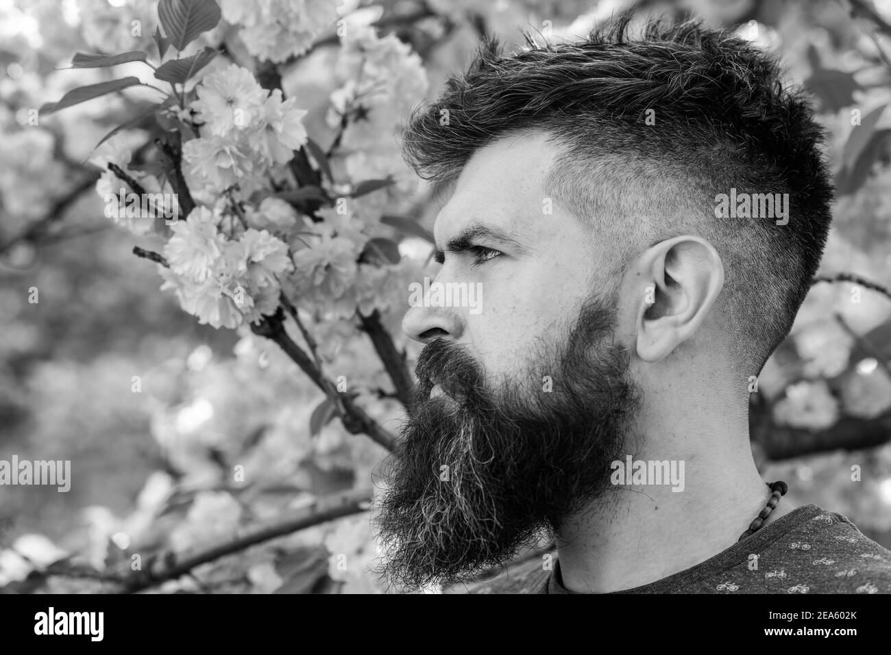 Pink haircut Black and White Stock Photos & Images - Alamy
