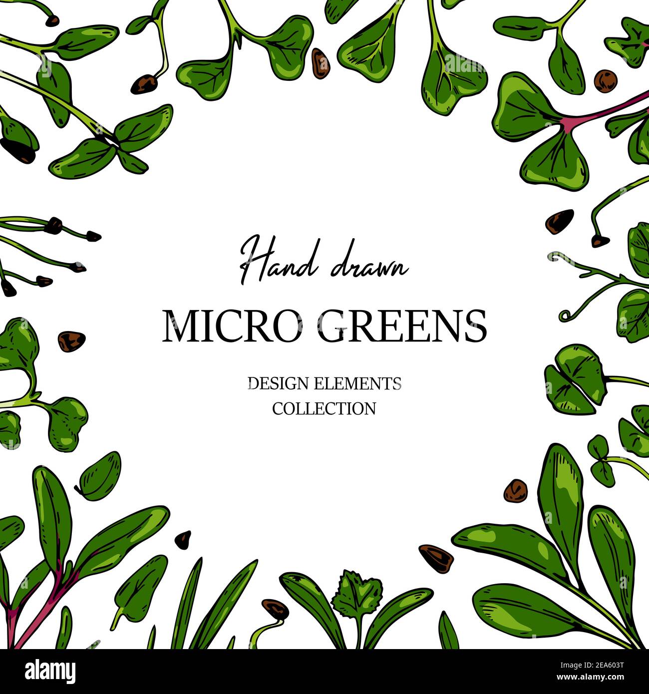 Hand drawn micro greens botany frame. Healthy vegetarian and vegan food ...