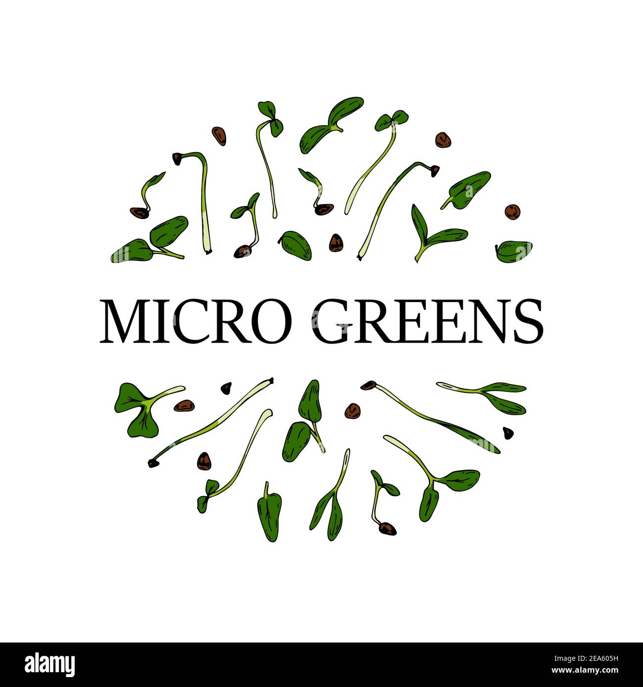 Hand drawn micro greens circle design. Healthy vegetarian and vegan ...