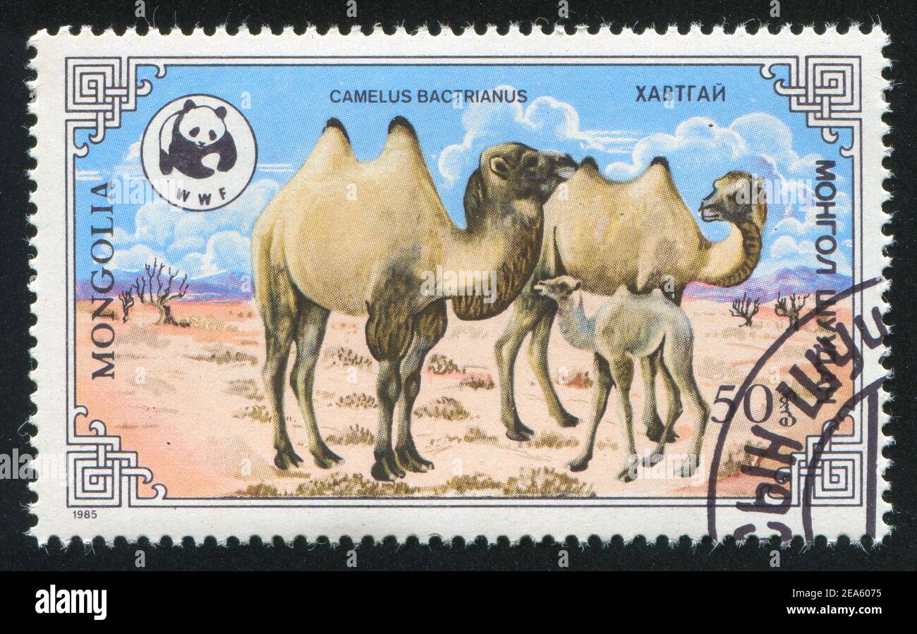 Mongolia camel stamp hi-res stock photography and images - Alamy