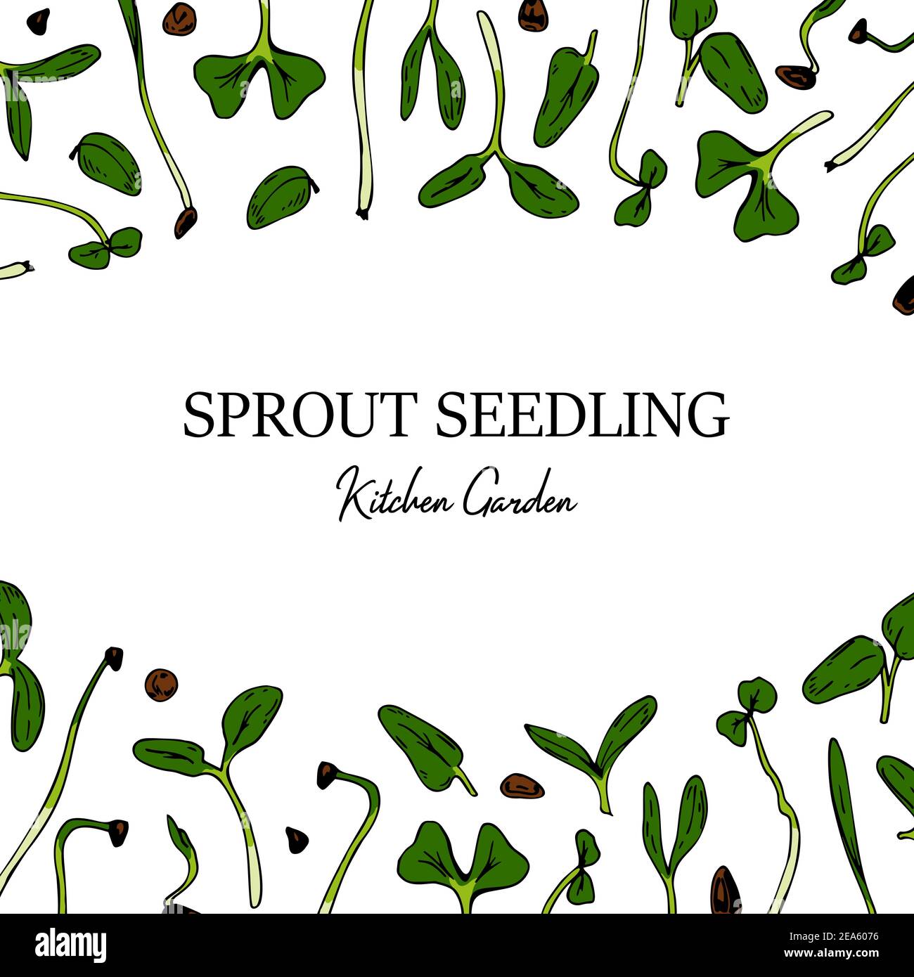 Hand drawn micro greens botany frame. Sprout seedling design. Vector ...