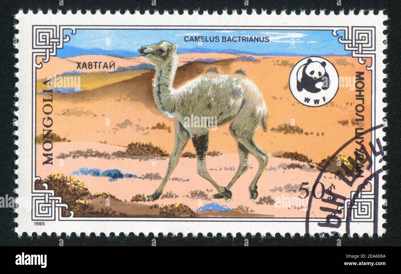 Mongolia camel stamp hi-res stock photography and images - Alamy