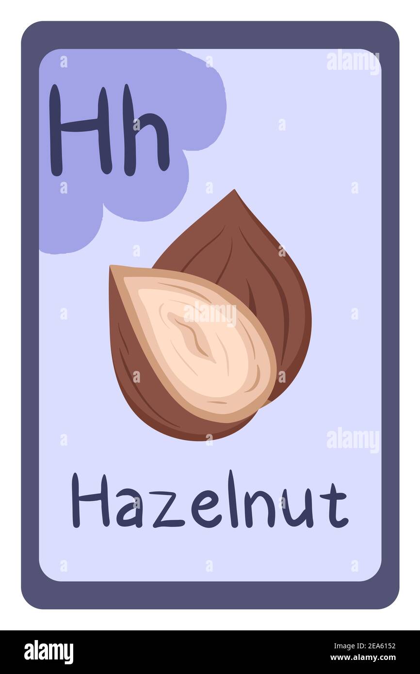 Abc food education flash card, Letter H - hazelnut. Cartoon design ...