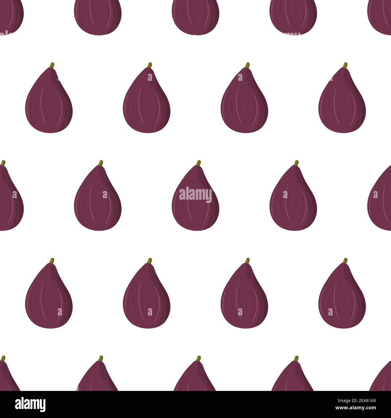 Seamless pattern on white background with hand drawn vector purple fig ...