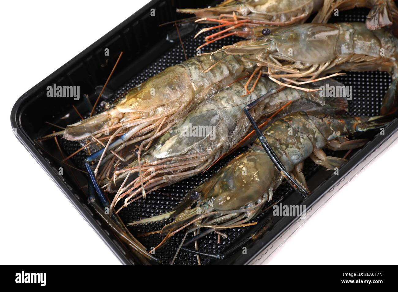 Raw prawn isolated in white baackground Stock Photo - Alamy