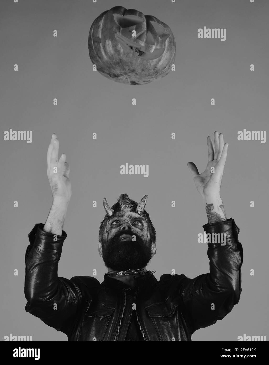 Demon with horns and concentrated face holds carved jack o lantern ...