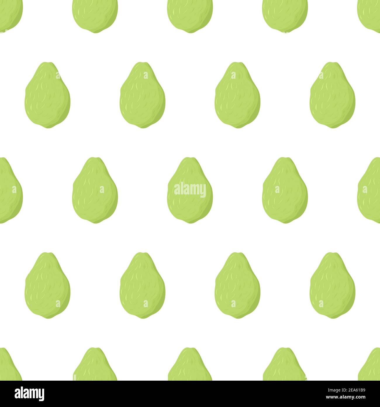 Green guava fruit seamless pattern. Nature food vector illustration ...