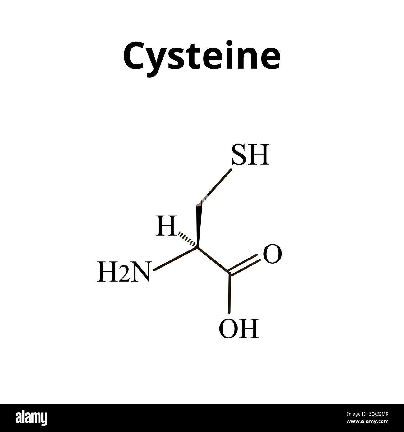 The amino acid Cysteine. Chemical molecular formula Cysteine amino acid ...