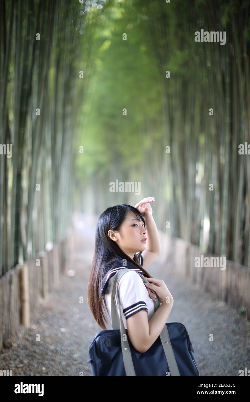Portrait of beautiful Asian japanese high school girl uniform looking with bamboo forest ...
