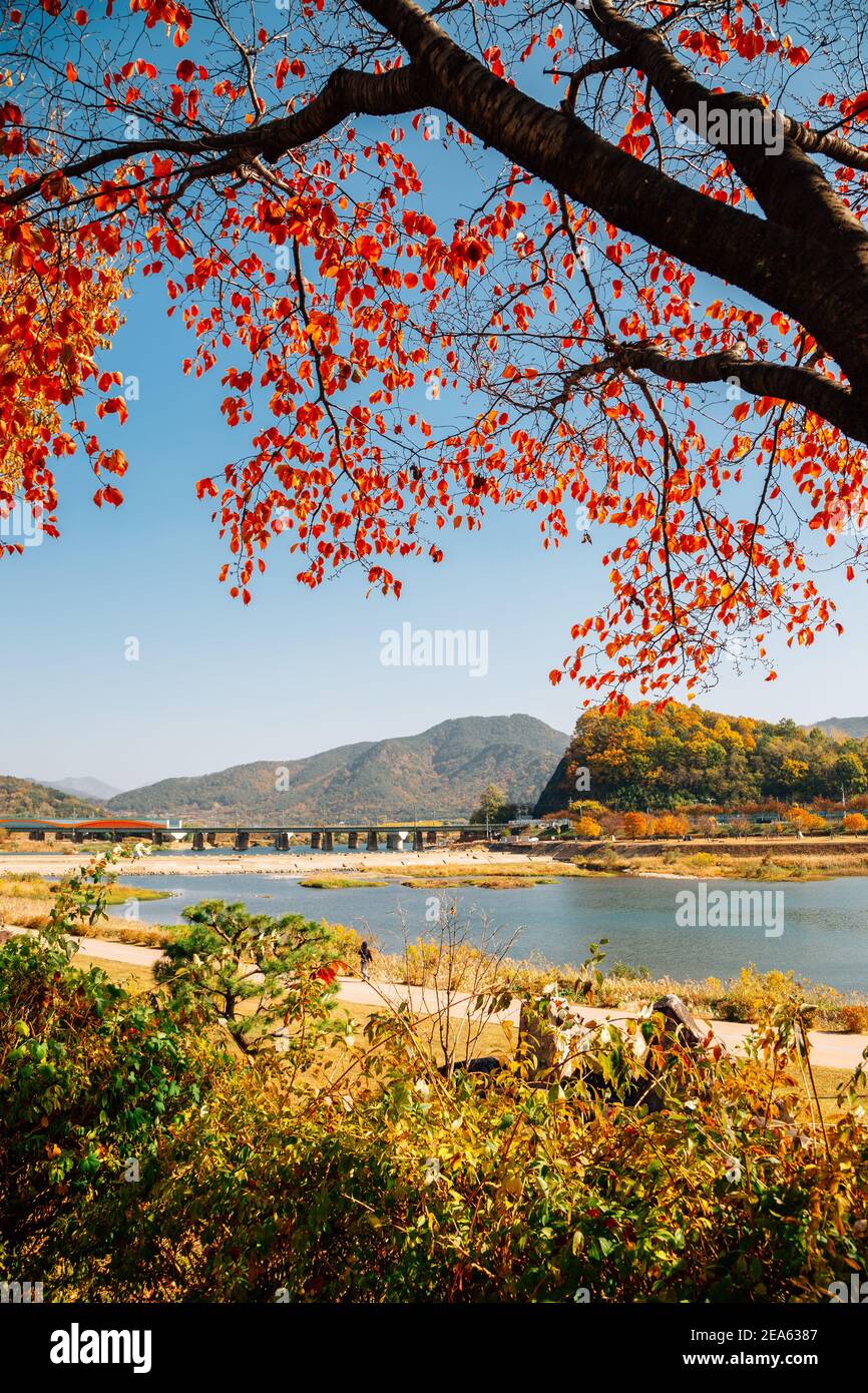 Miryang river and mountain at autumn in Miryang, Korea Stock Photo - Alamy