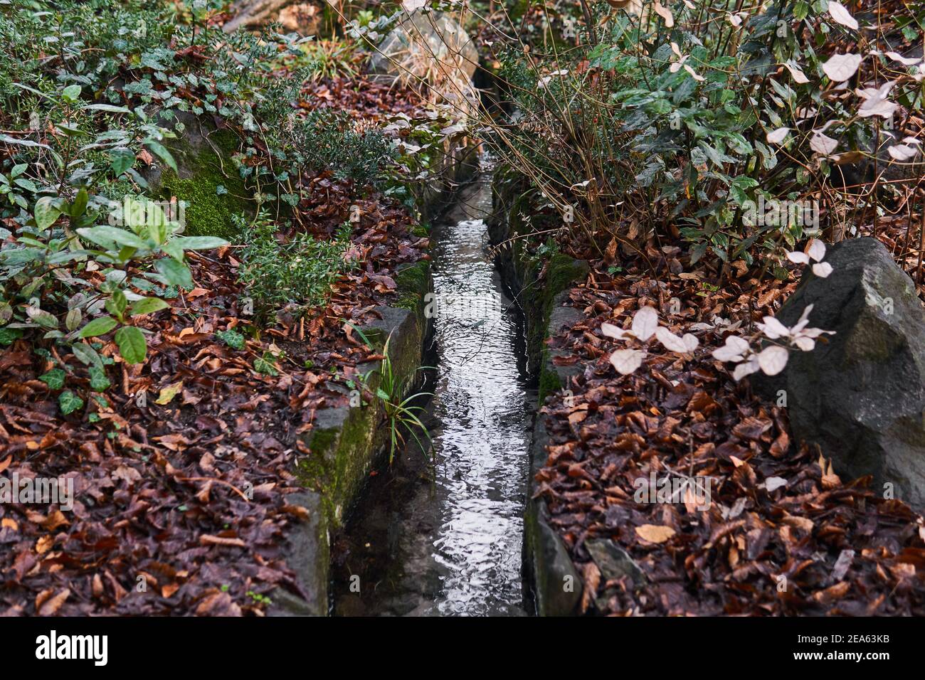 Drainage channel garden hi-res stock photography and images - Alamy