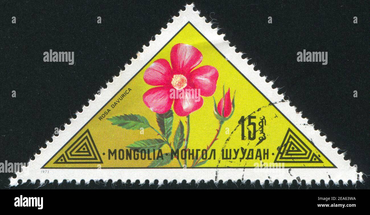 MONGOLIA - CIRCA 1973: stamp printed by Mongolia, shows flower, circa ...