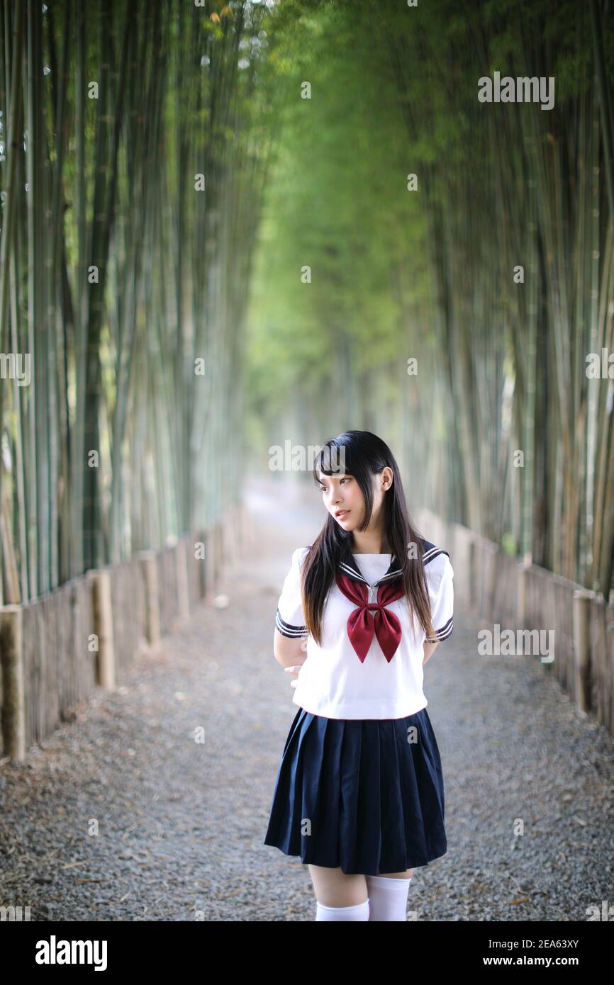 Portrait of beautiful Asian japanese high school girl uniform looking with bamboo forest ...