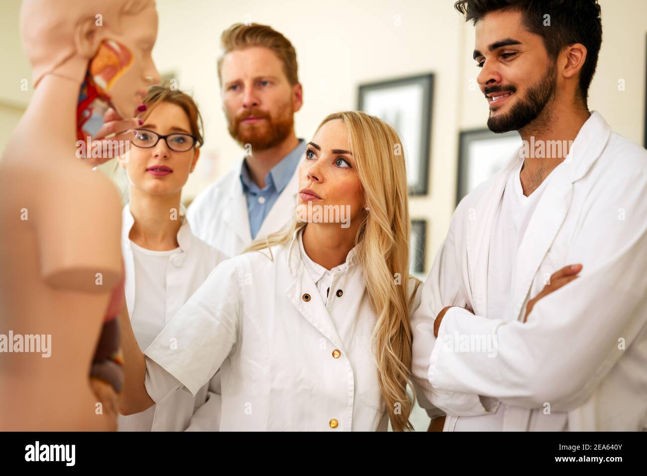 Students of medicine examining anatomical model in classroom Stock ...