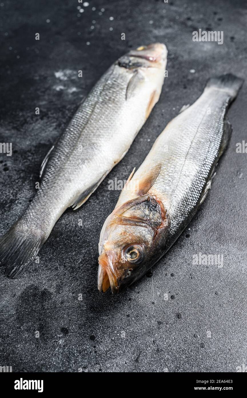 Fresh raw sea bass fish. Black background. Top view Stock Photo - Alamy