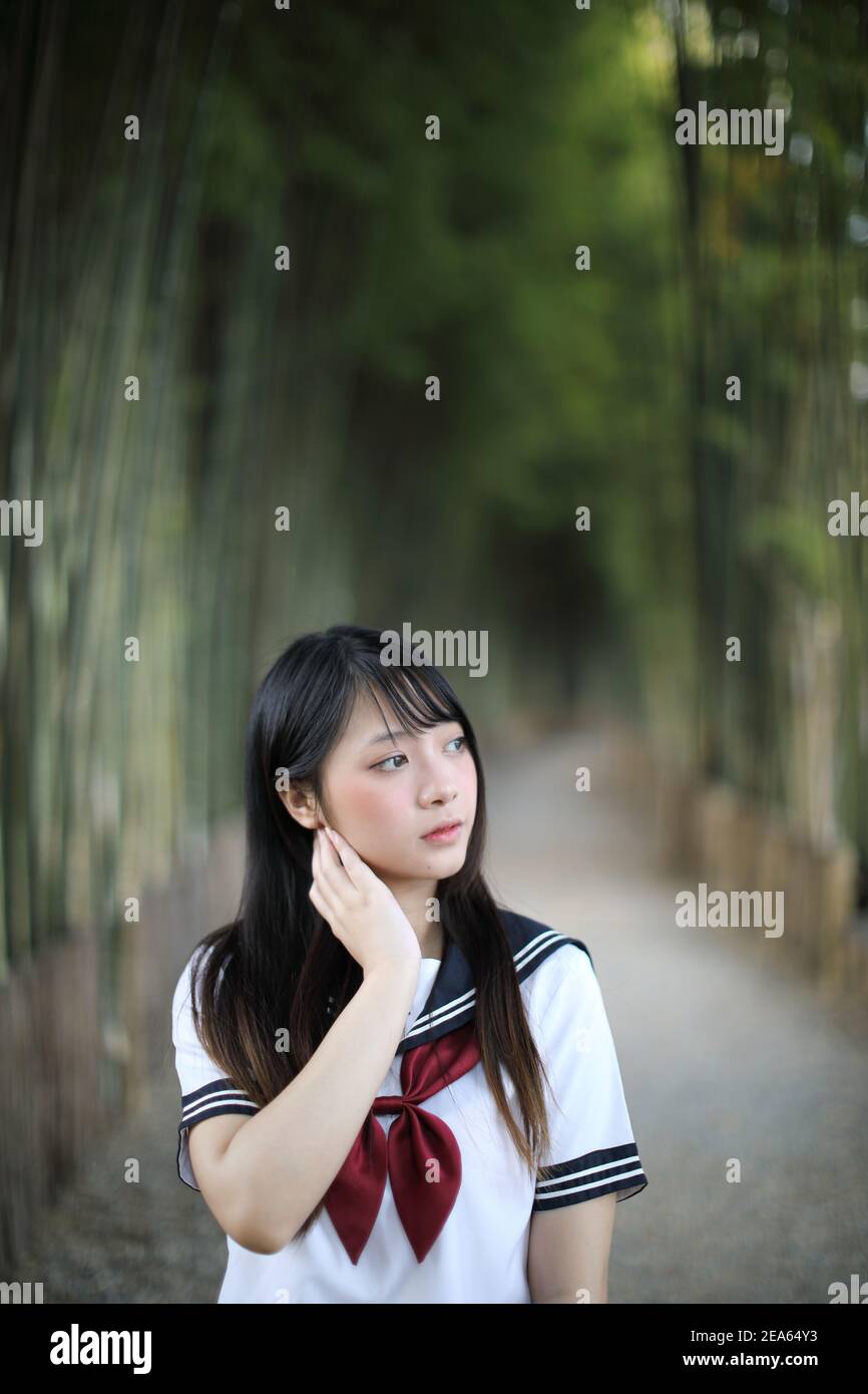 Portrait of beautiful Asian japanese high school girl uniform looking with bamboo forest ...