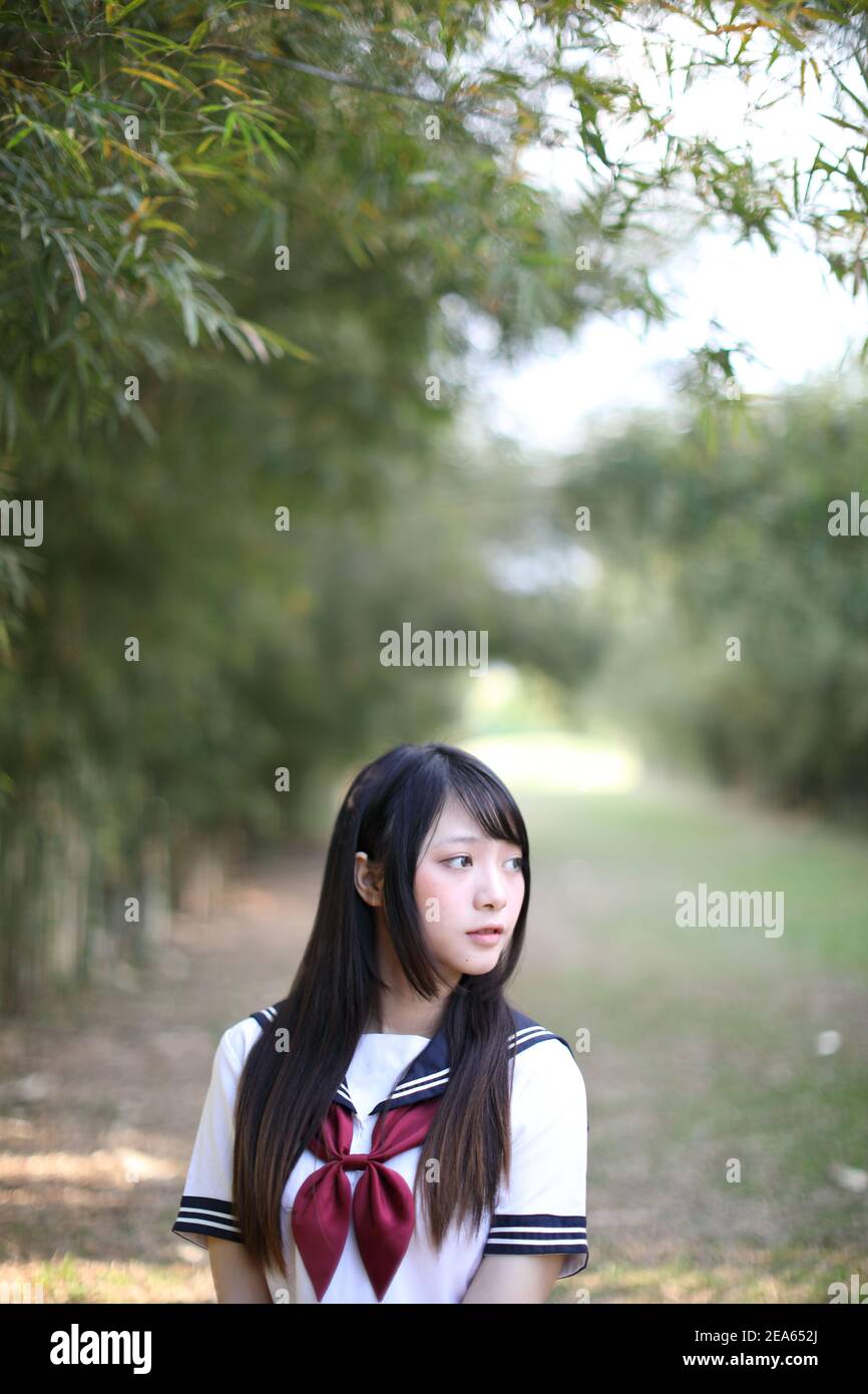 Portrait of beautiful Asian japanese high school girl uniform looking with bamboo forest ...