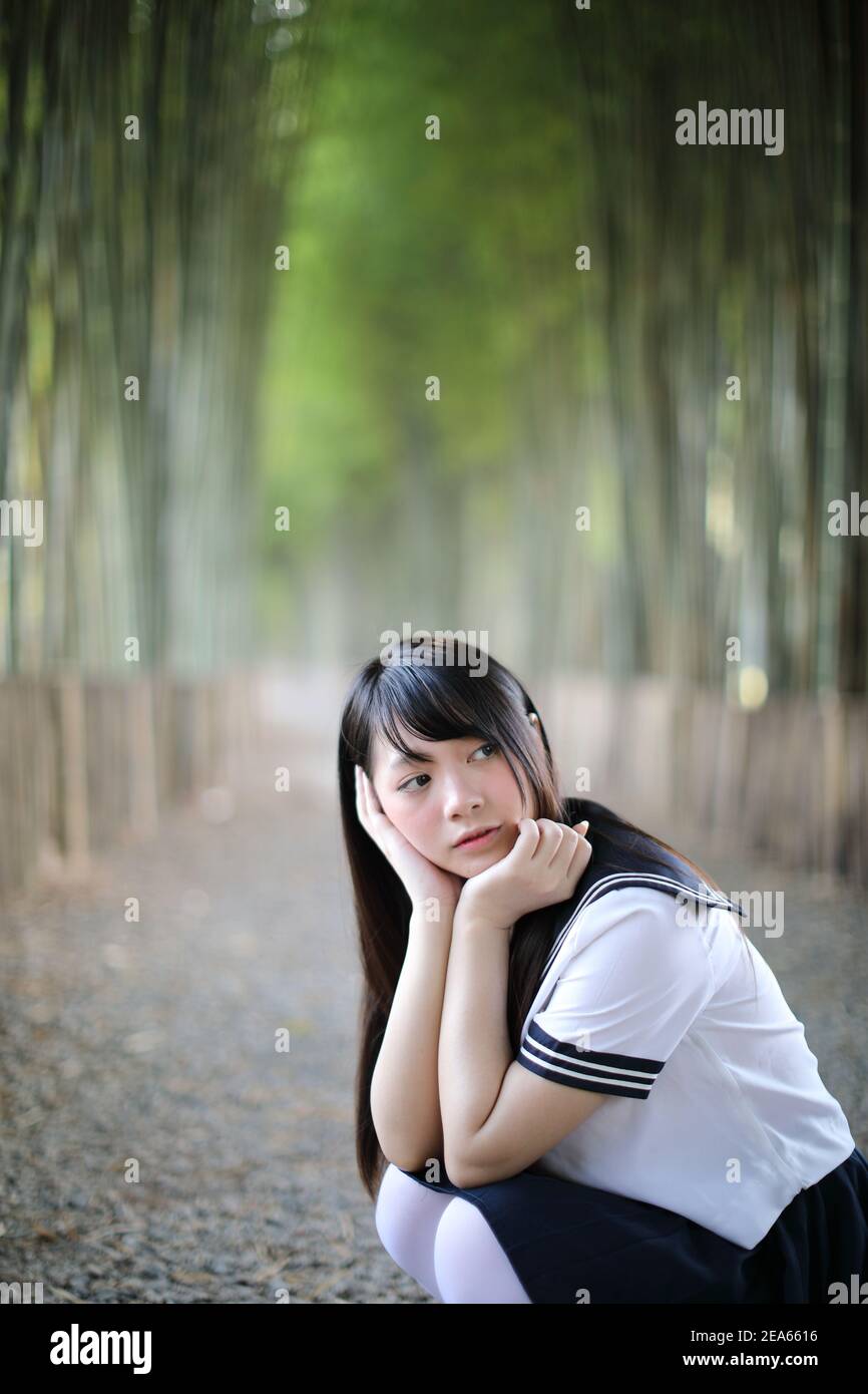 Portrait of beautiful Asian japanese high school girl uniform looking with bamboo forest ...