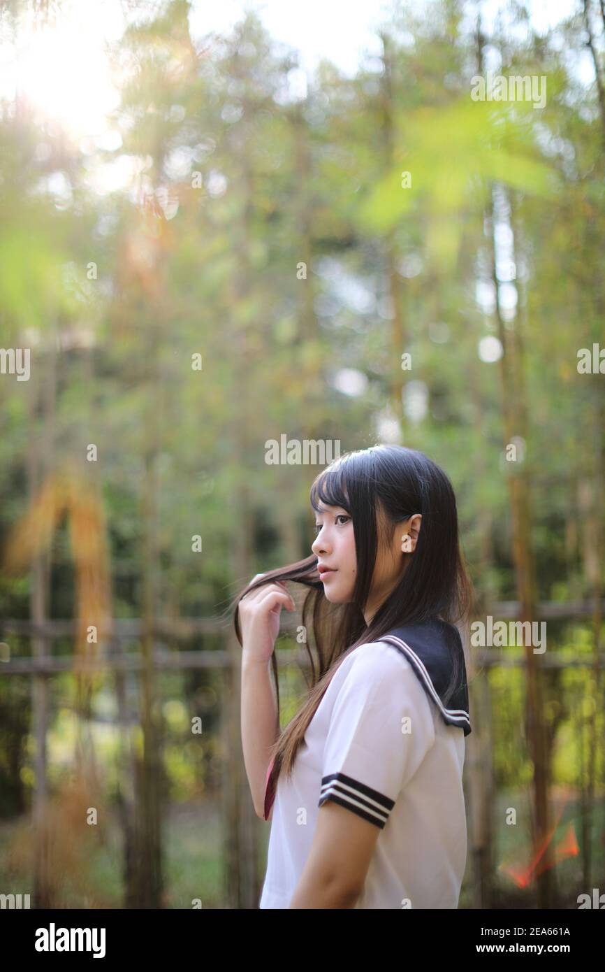 Portrait of beautiful Asian japanese high school girl uniform looking with bamboo forest ...