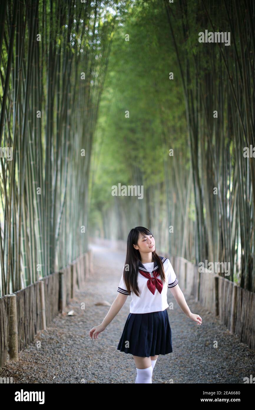 Portrait of beautiful Asian japanese high school girl uniform looking with bamboo forest ...