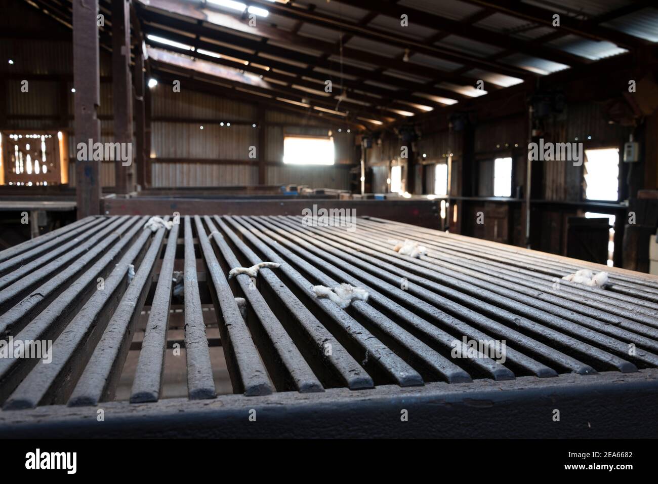 Wool sorting shed hi-res stock photography and images - Alamy
