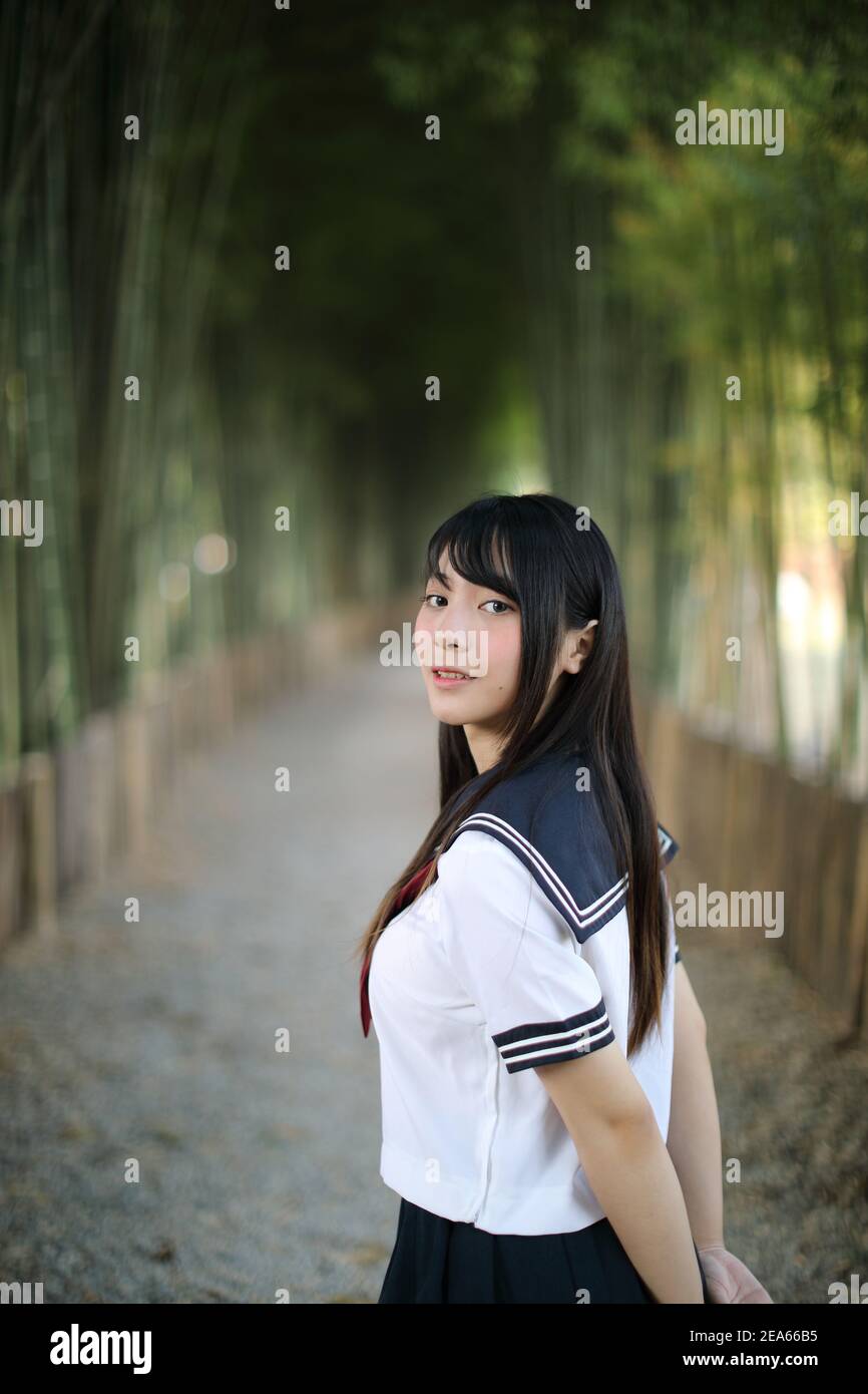 Portrait of beautiful Asian japanese high school girl uniform looking with bamboo forest ...
