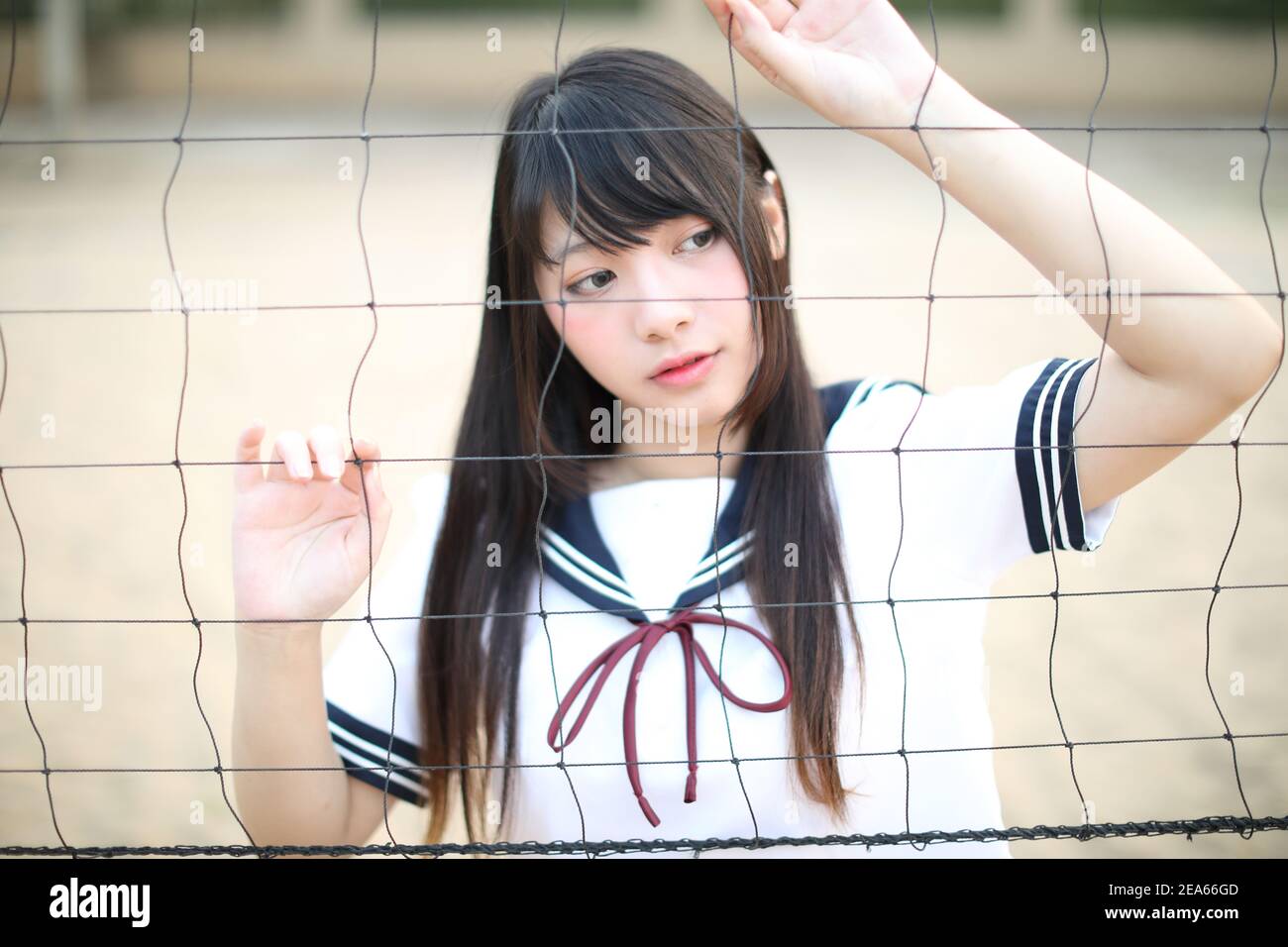 Portrait of beautiful Asian japanese high school girl uniform looking with net Stock Photo - Alamy