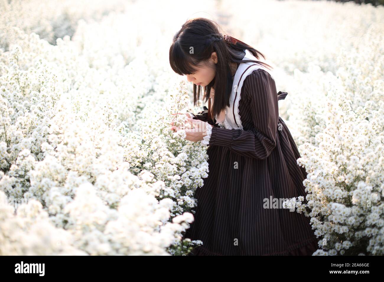 Portrait asian girl with little white flowers background Stock Photo ...