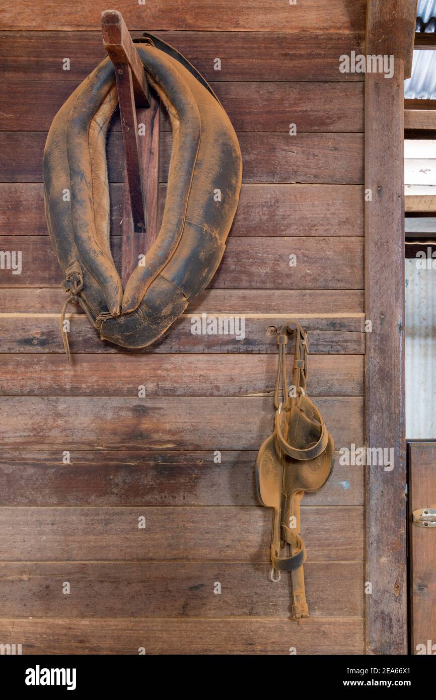 Horse collar in the barn at Avondale Farm Stock Photo - Alamy