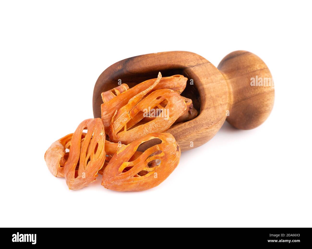 Mace flower hi-res stock photography and images - Alamy