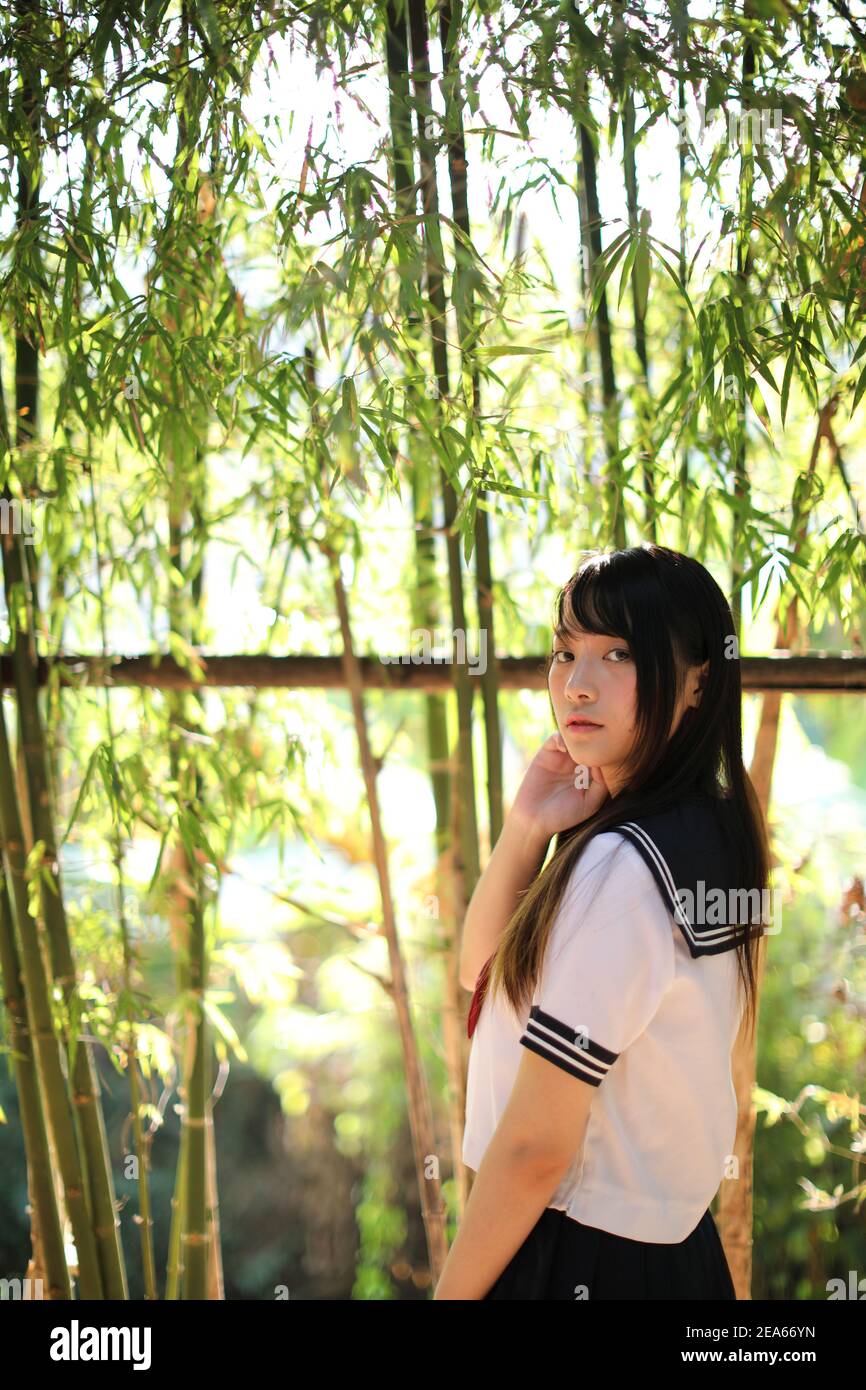 Portrait of beautiful Asian japanese high school girl uniform looking with bamboo forest ...