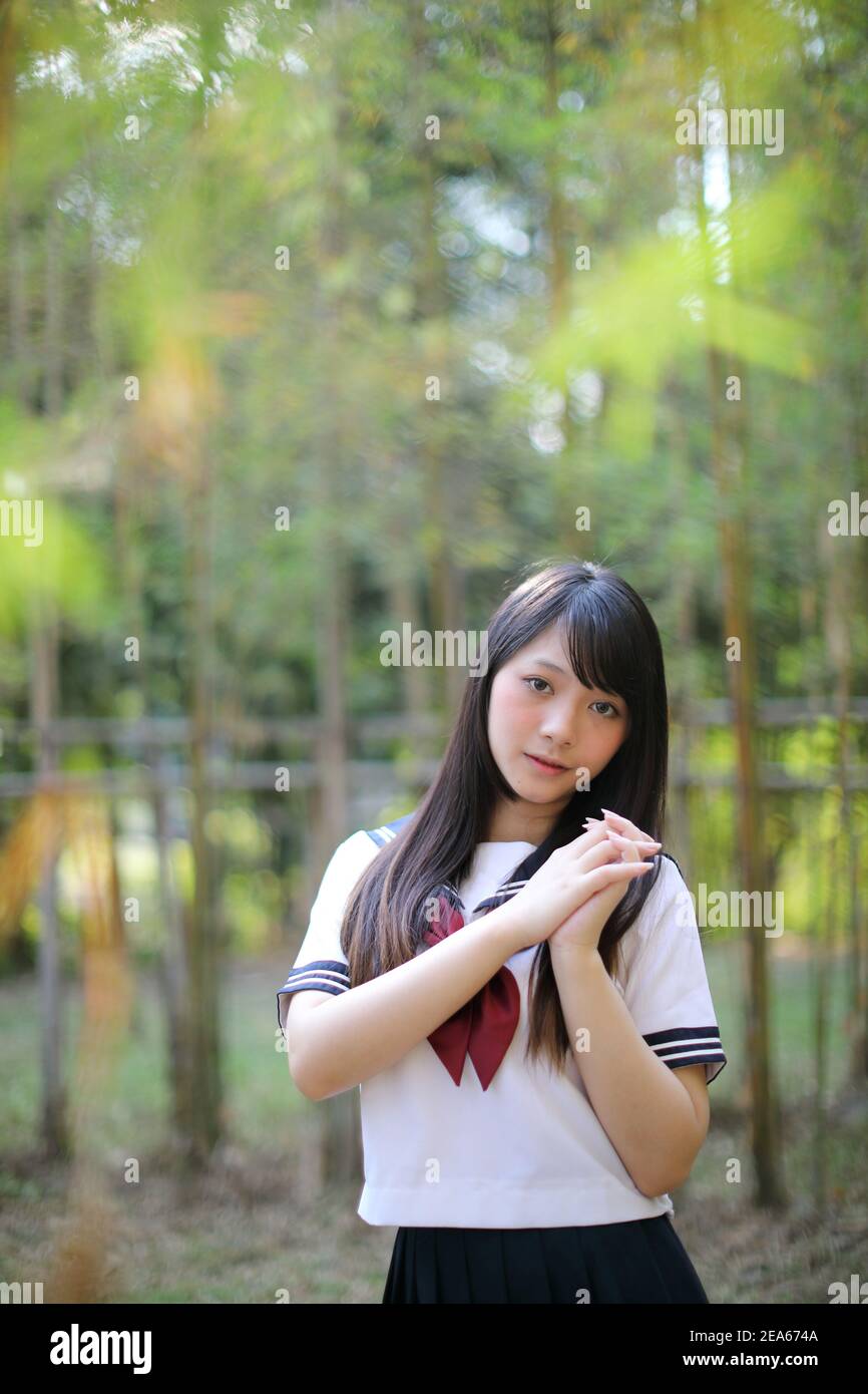 Portrait of beautiful Asian japanese high school girl uniform looking with bamboo forest ...