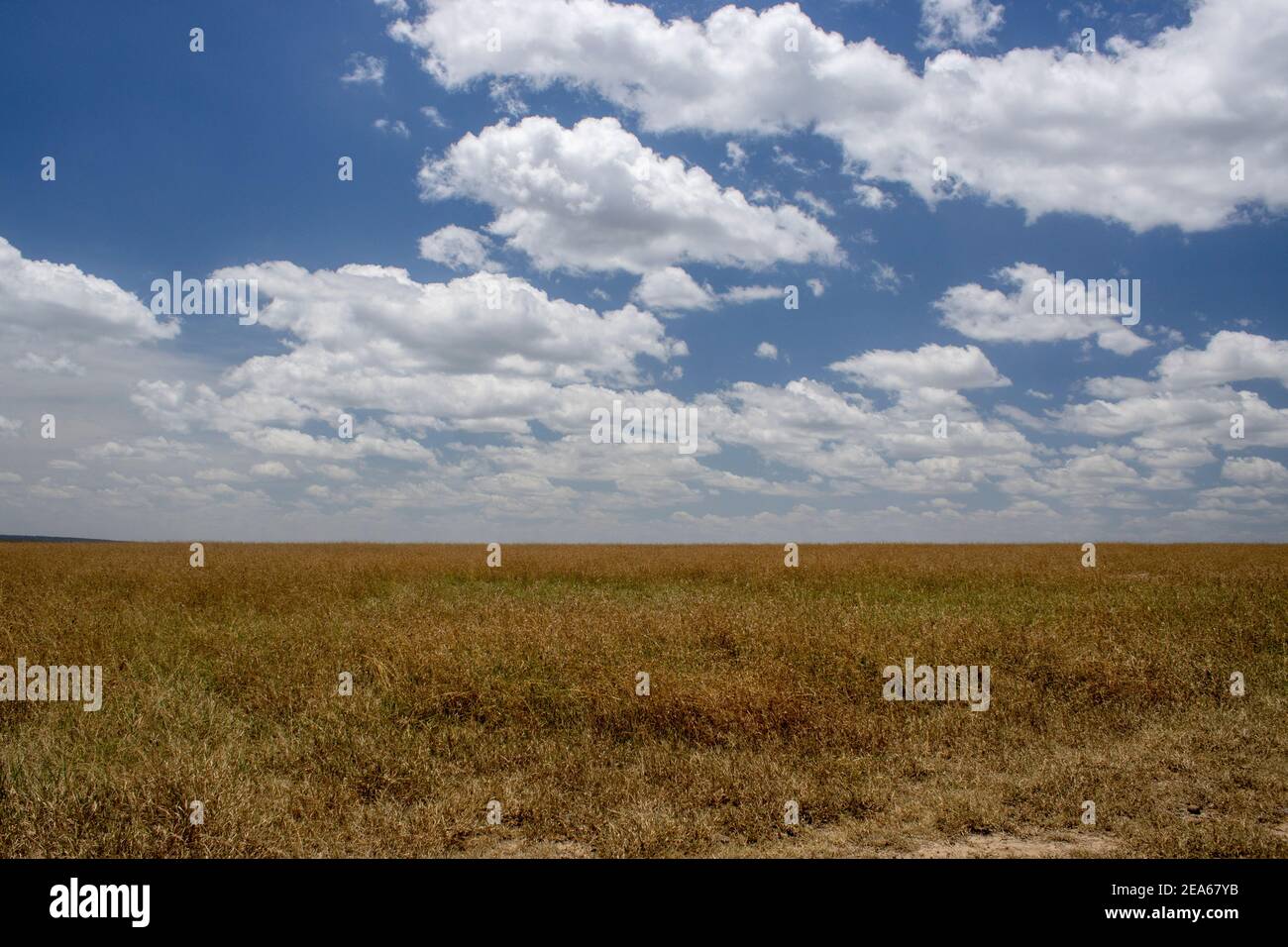 African plain hi-res stock photography and images - Alamy