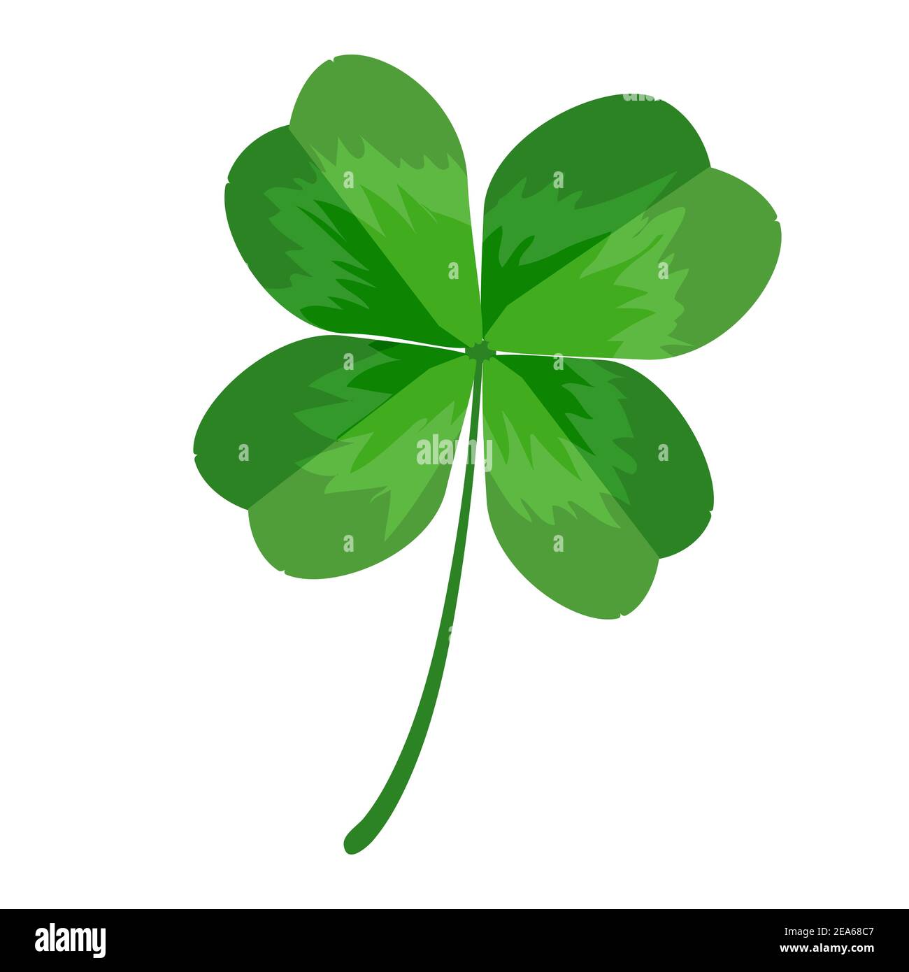 Clover isolated on white background. Clover leaf with four petals. Green shamrock for St ...