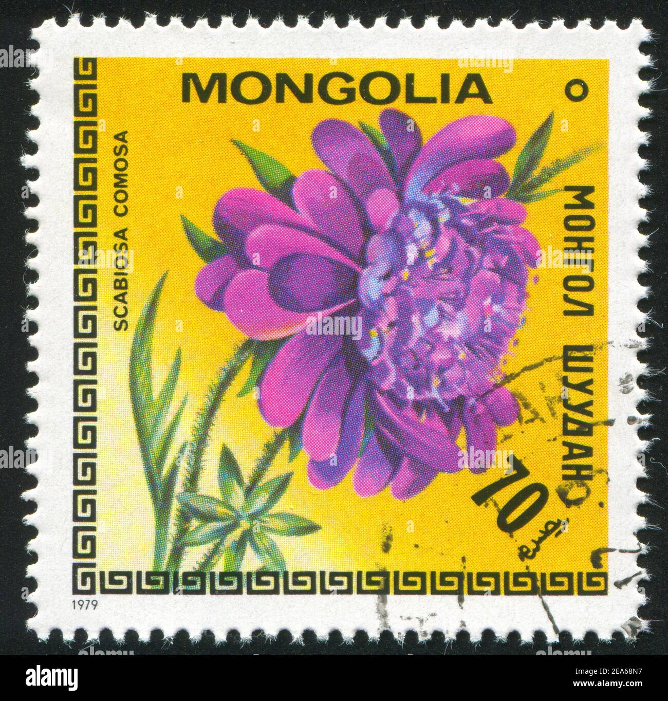MONGOLIA - CIRCA 1979: stamp printed by Mongolia, shows flower, circa ...