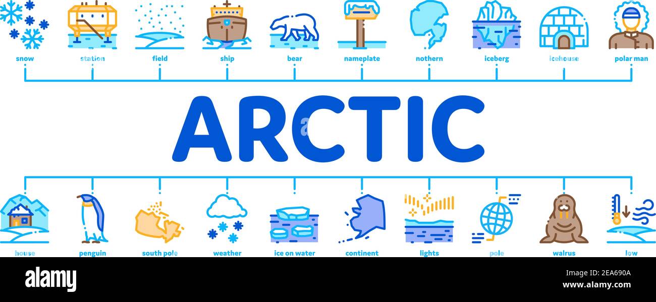 Arctic And Antarctic Minimal Infographic Banner Vector Stock Vector ...