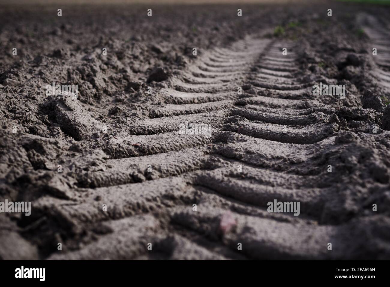 Trail track of a tractor on plowed field Stock Photo - Alamy