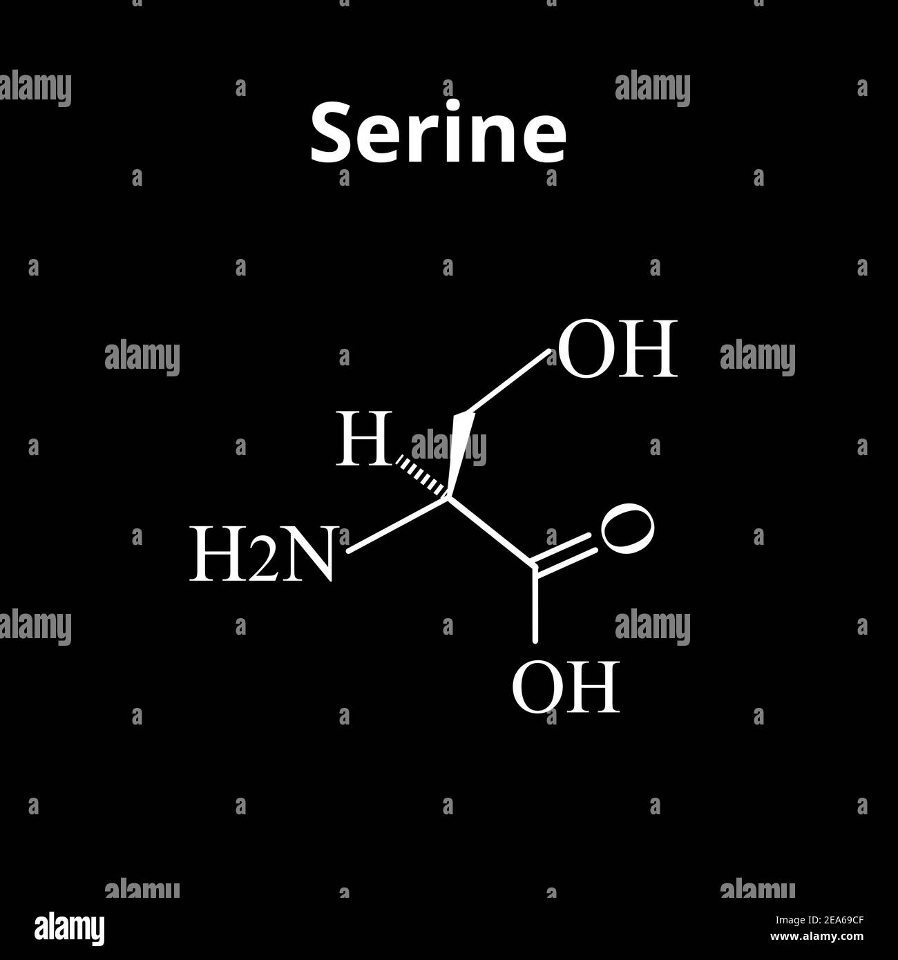 Serine amino acid. Chemical molecular formula Serine amino acid. Vector ...