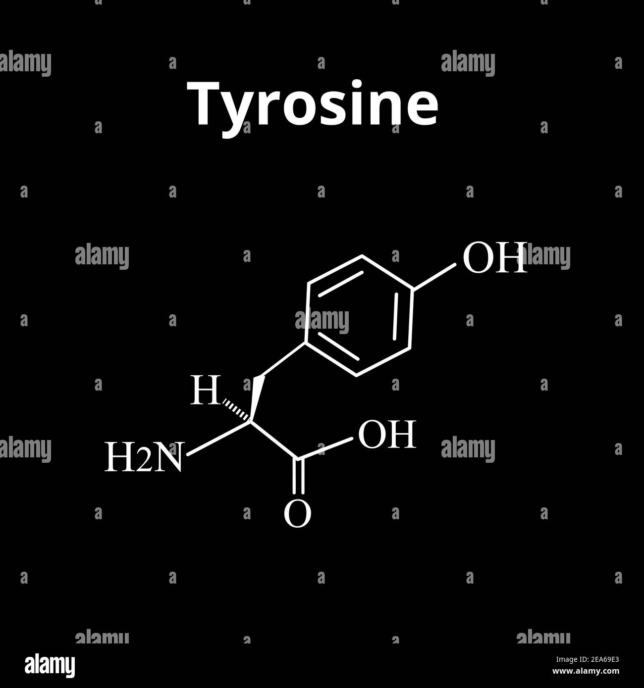 What Type Of Amino Acid Is Tyrosine at Aaron Battye blog