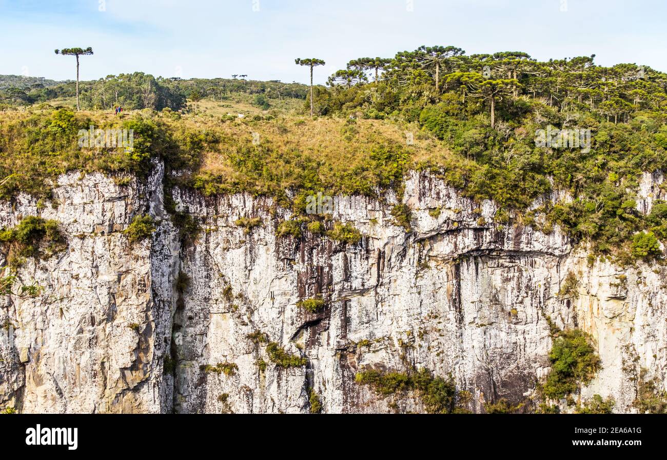 Beautiful view of rocky cliffs with trees and greenery in Brazil Stock ...