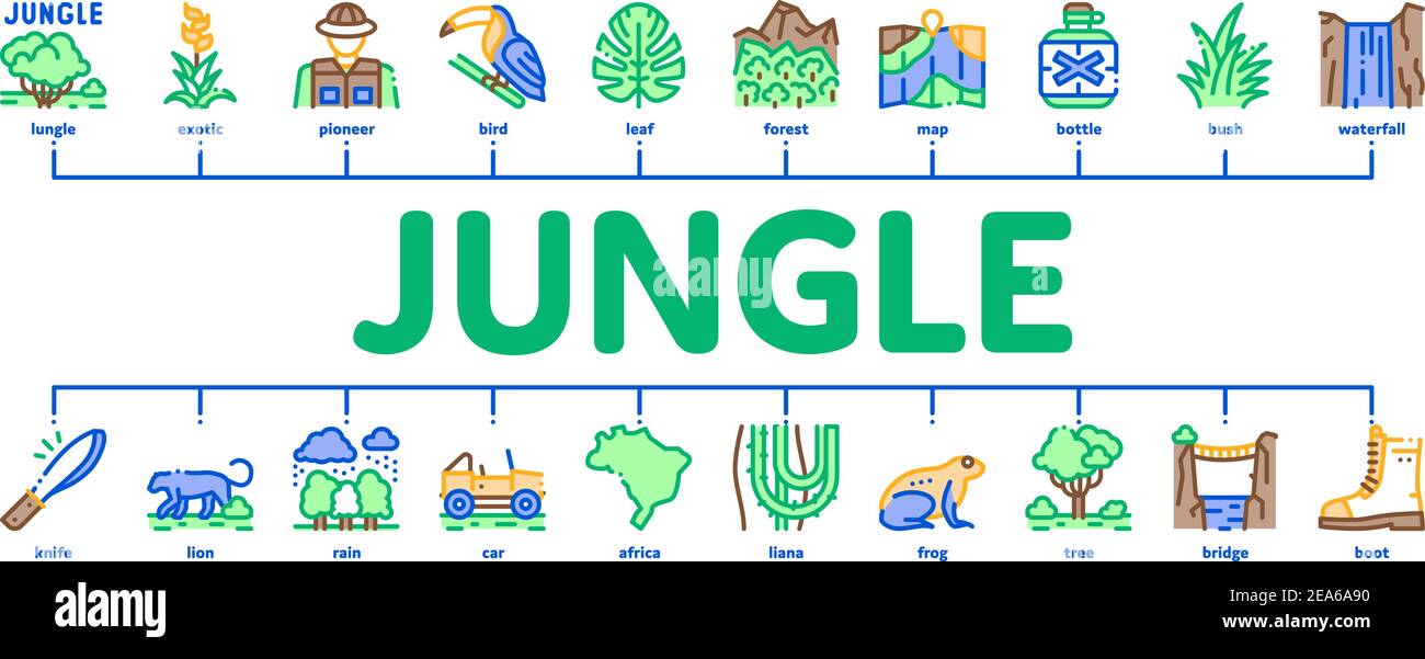 Jungle Tropical Forest Minimal Infographic Banner Vector Flat Stock ...