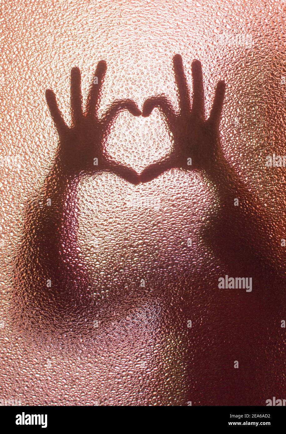 heart of the shadows of the hands through the frosted glass in pink ...