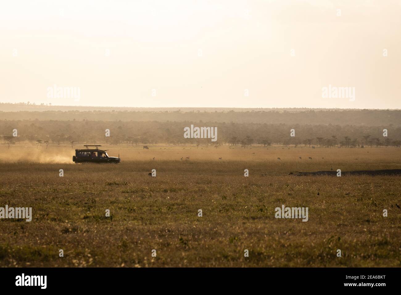 A Toyota whizzing through the dusty African landscape. On Safari Stock ...
