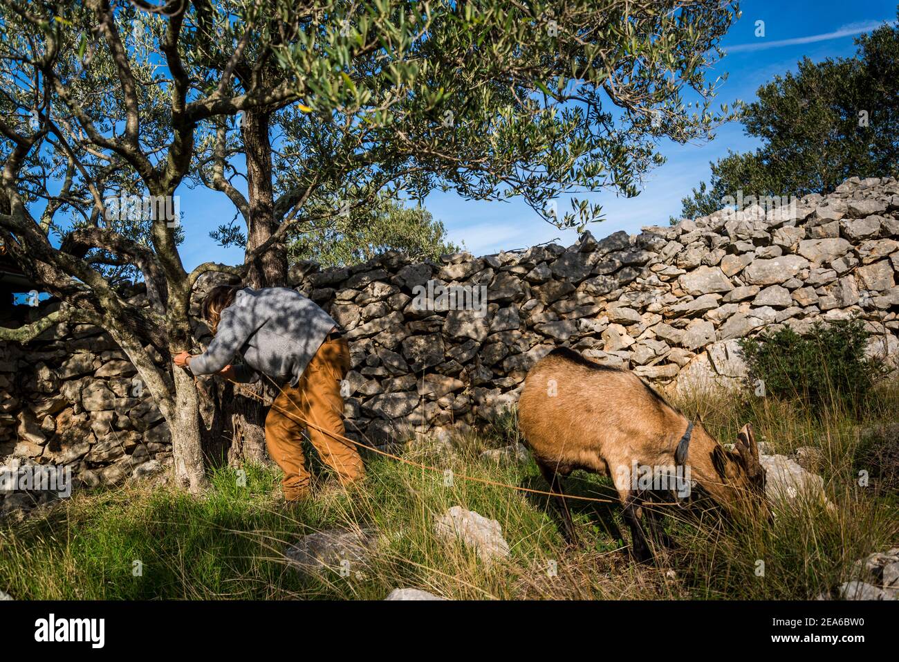 Croatian woman farmer hi-res stock photography and images - Alamy