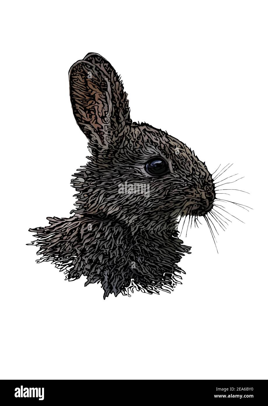 brown rabbit head vector illustration on white background Stock Photo ...