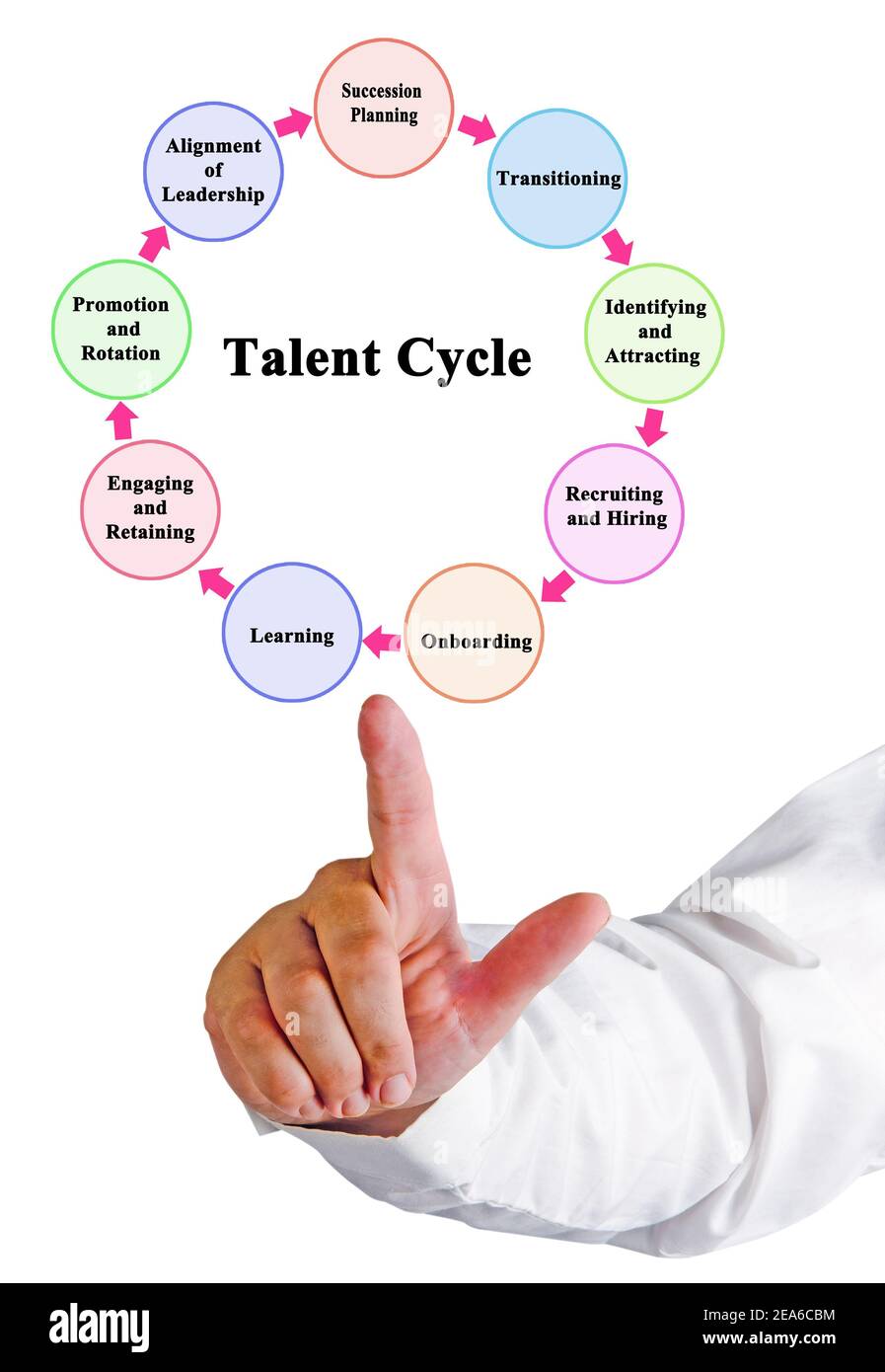 Nine Components of Talent Cycle Stock Photo - Alamy